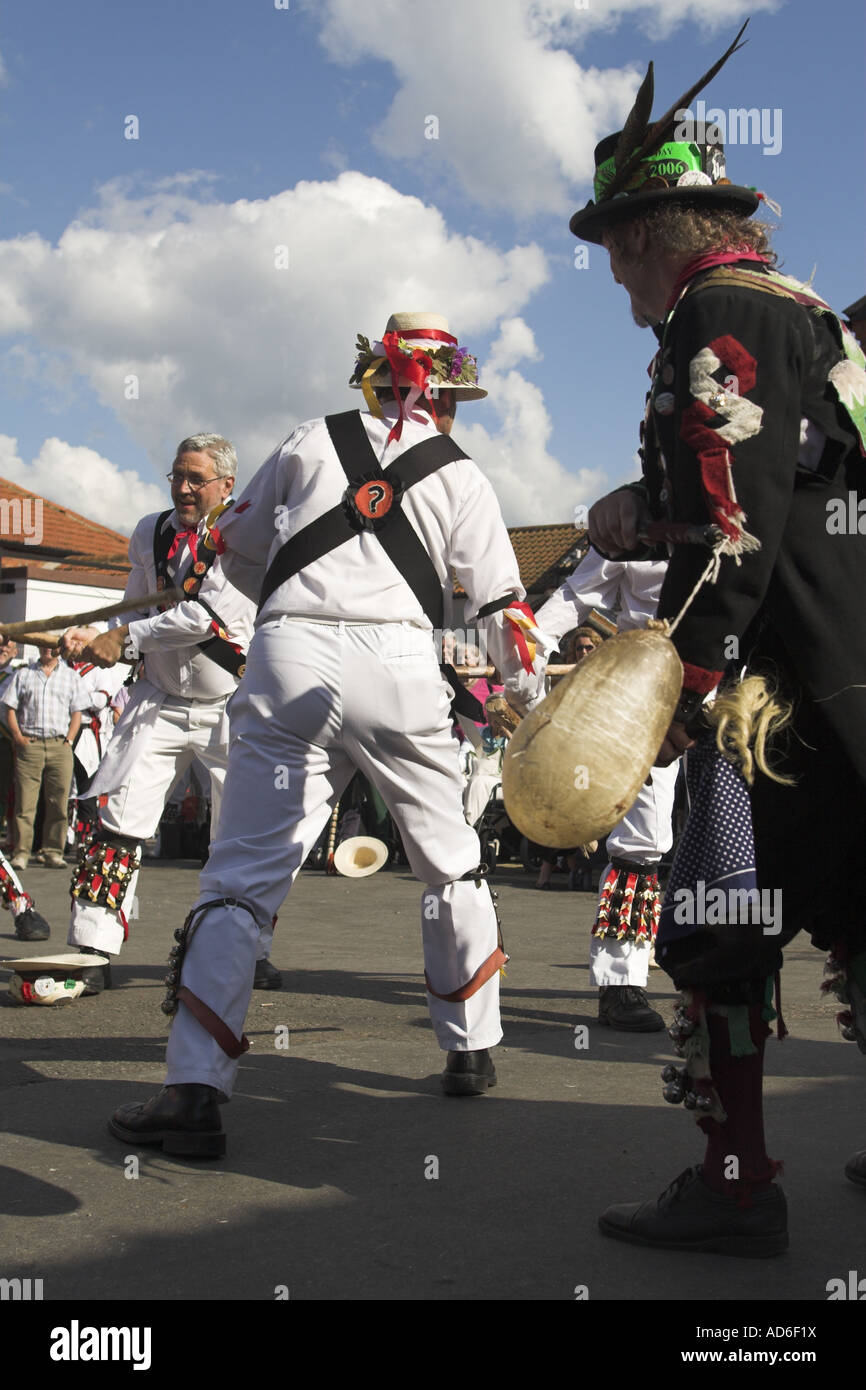 Morris fool hi-res stock photography and images - Alamy