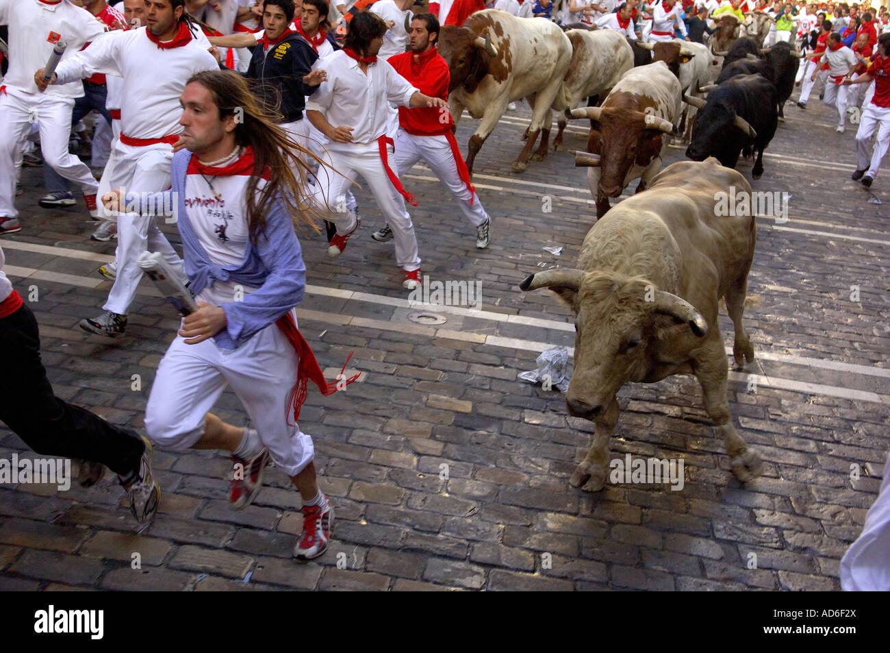 Stampede bull run hi-res stock photography and images - Alamy