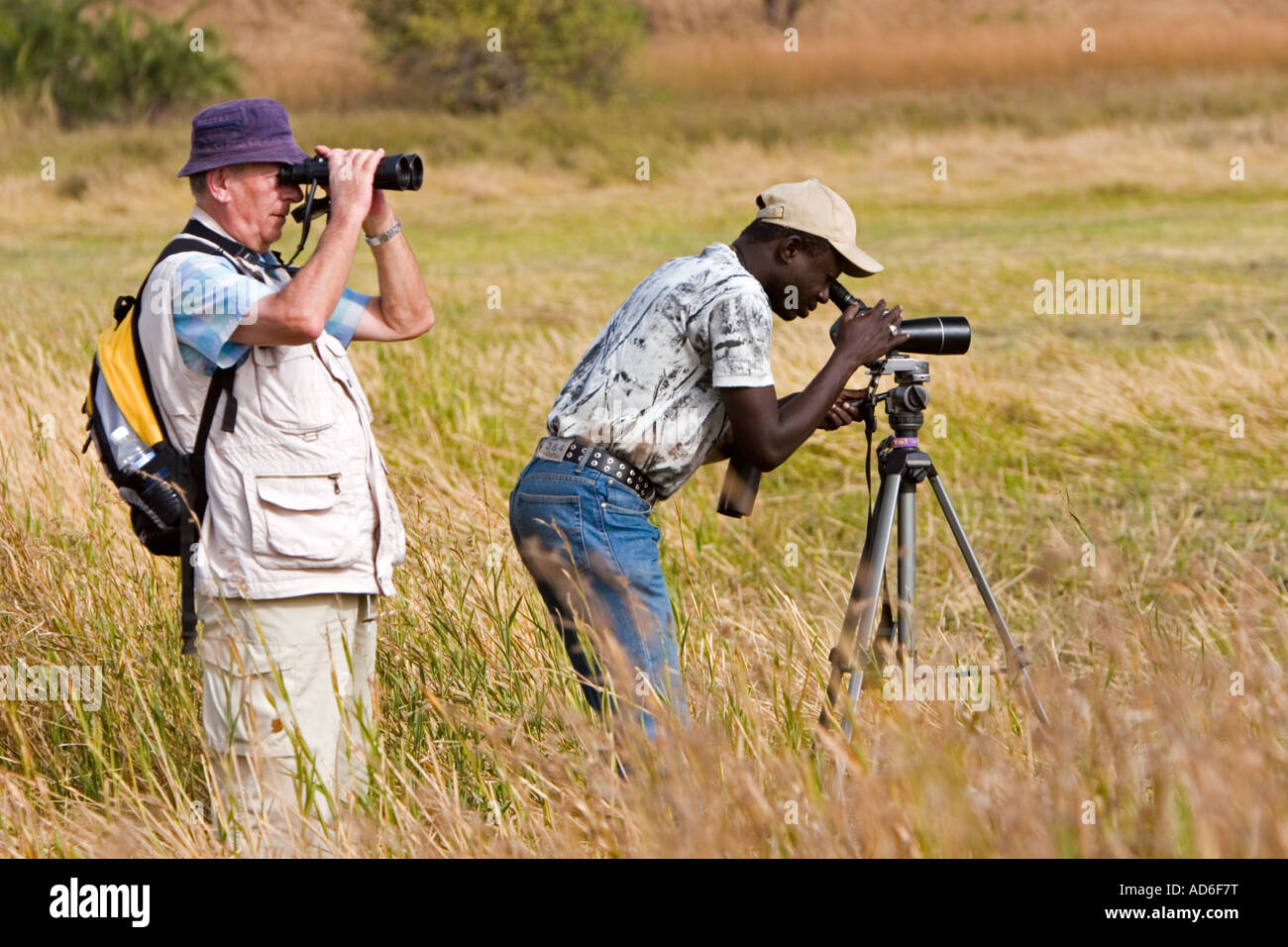 Guide shows visiting bird watcher different species on grassland ...