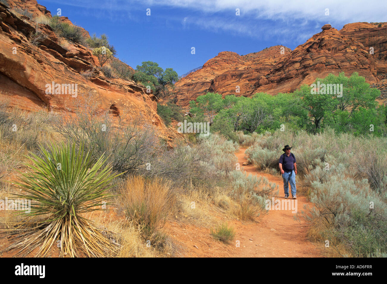 Hiking on trail in Red Cliffs Desert Reserve Utah s Dixie near St ...