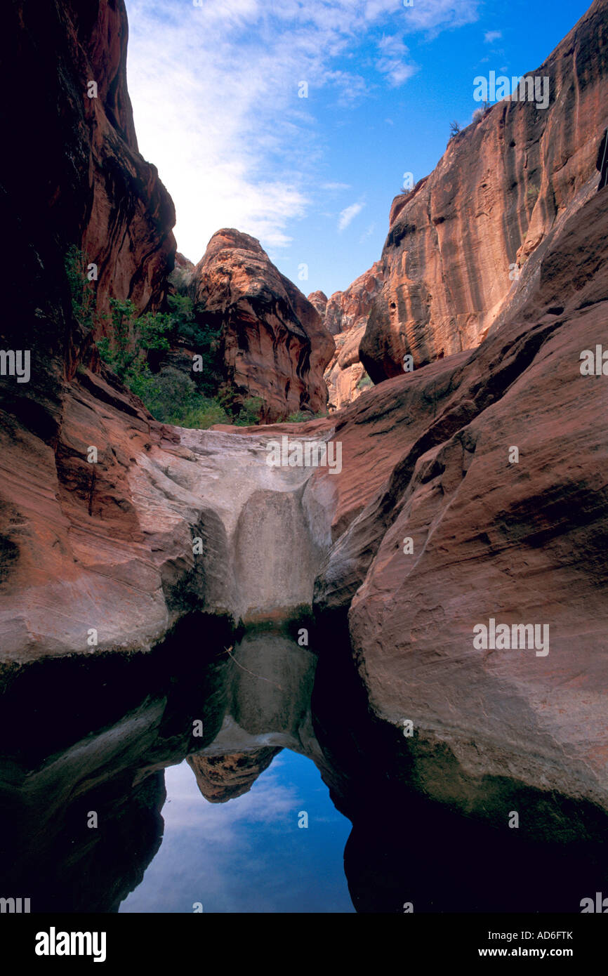 Pools in narrow canyon Red Cliffs Recreation Area Utah s Dixie near St ...