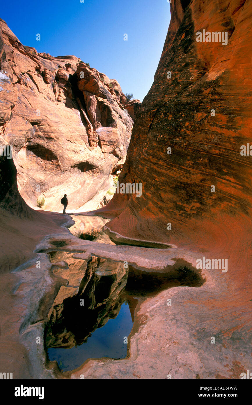 Hiker and Pools in narrow canyon Red Cliffs Recreation Area Utah s ...