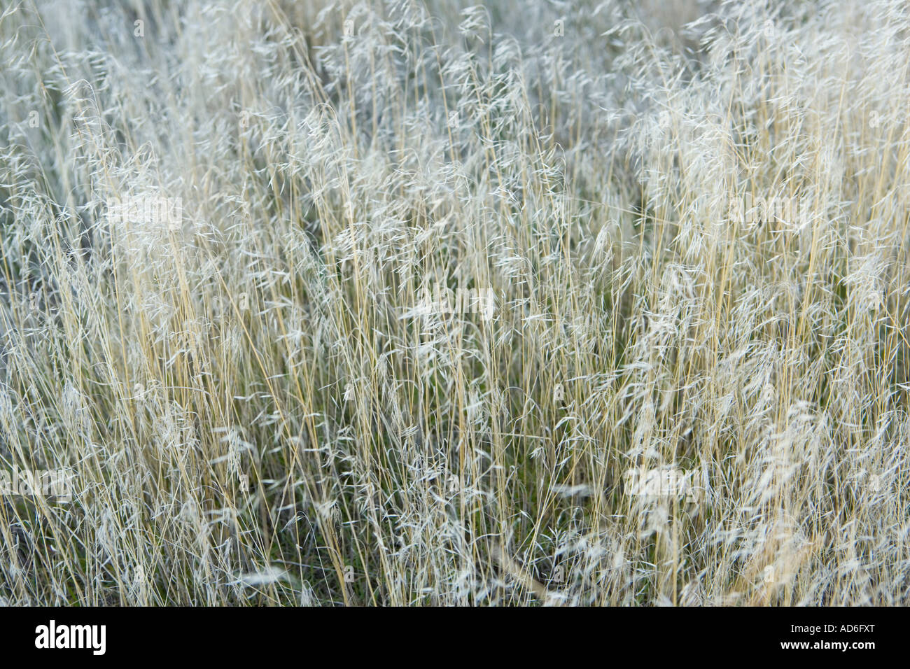 Southeastern washington state hi-res stock photography and images - Alamy