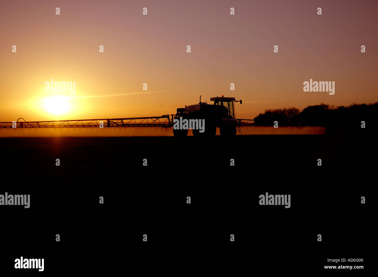 Kingdom of insecticide hi-res stock photography and images - Alamy