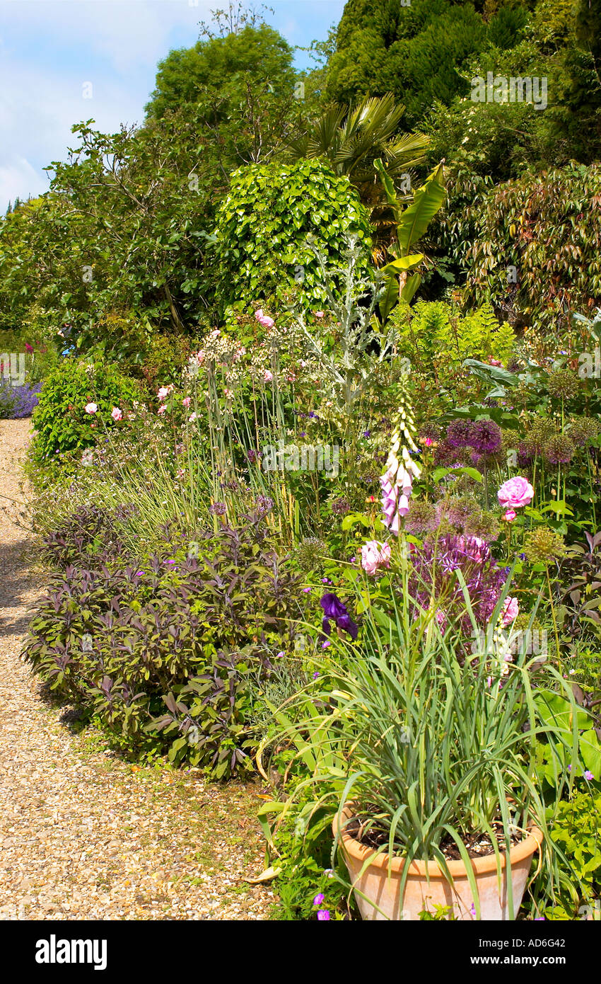 English country garden plants hi-res stock photography and images - Alamy