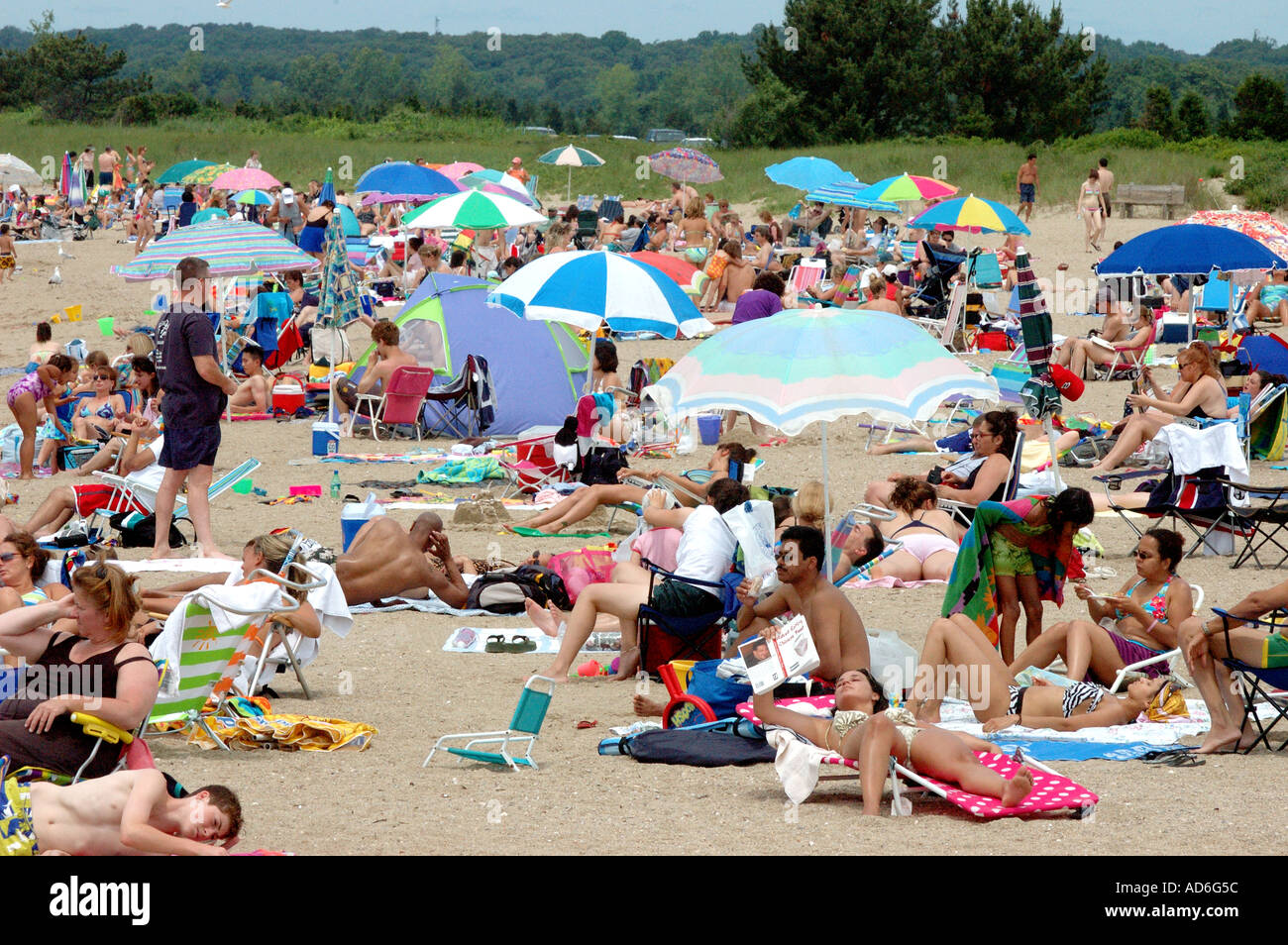 Beach crowded beach mobbed beach mob gathering assembly pack flock ... Beach crowded beach mobbed beach mob gathering assembly pack flock ...