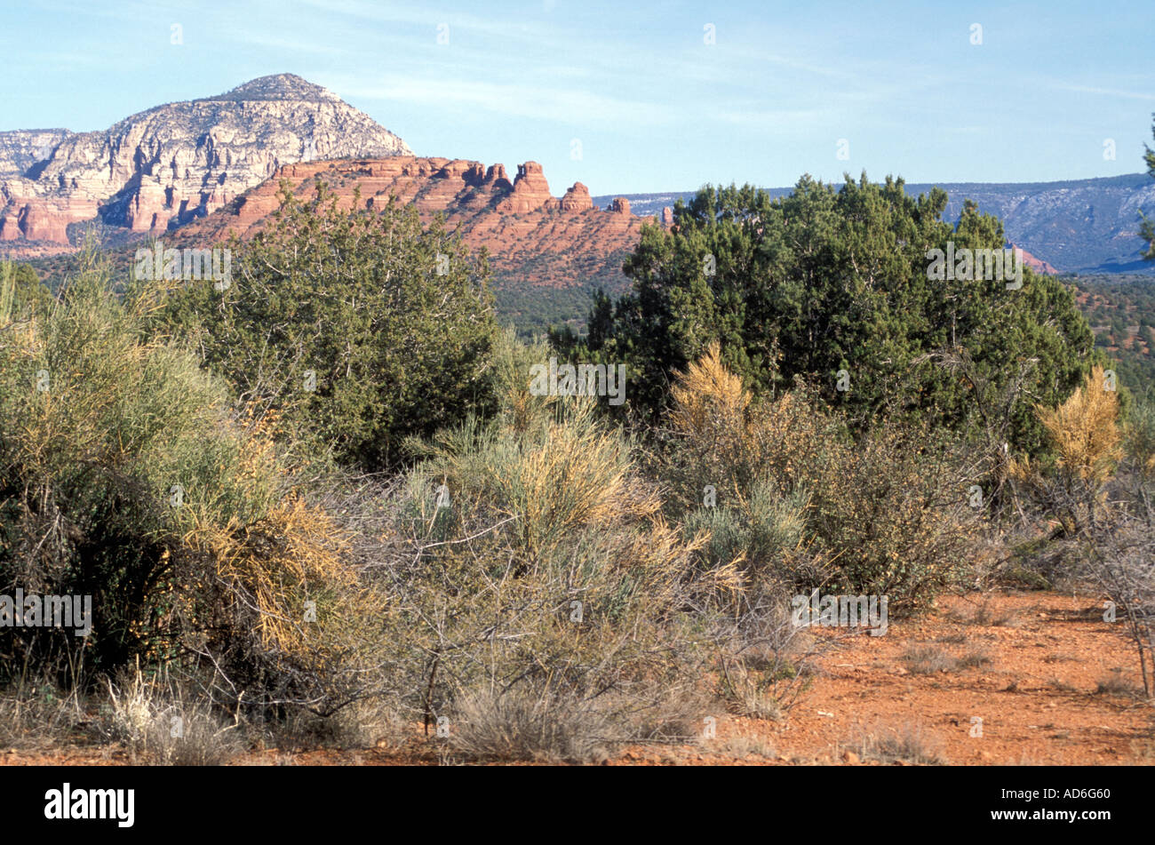 Red Rock Secret Mountain Wilderness, Coconino National Forest, Sedona ...