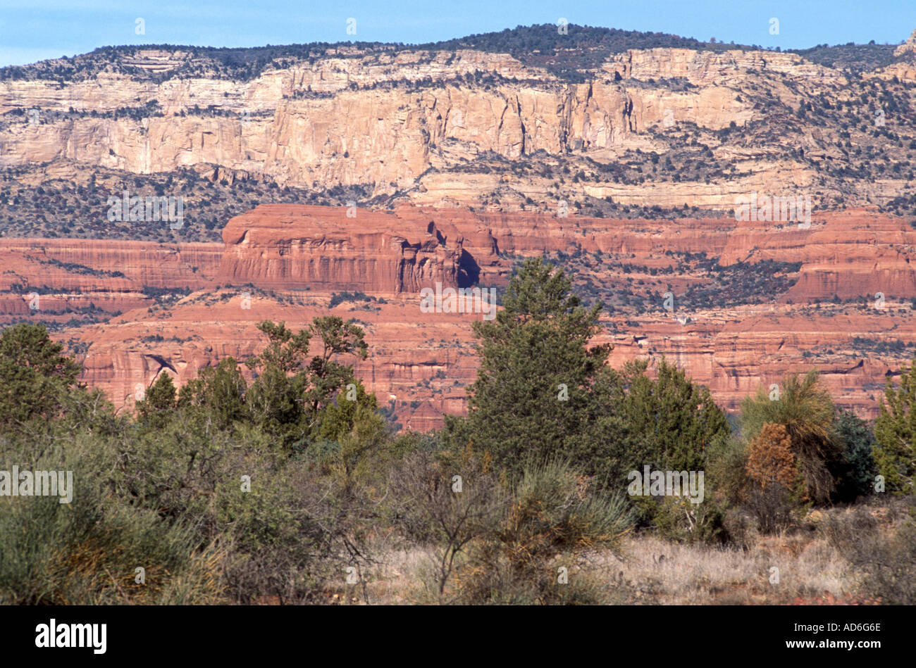 Red rock secret mountain wilderness hi-res stock photography and images ...