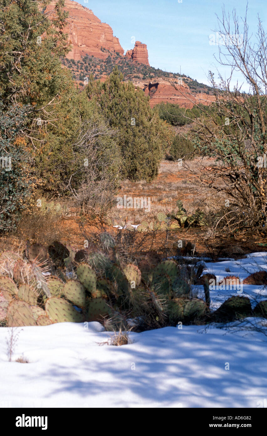 Red Rock Secret Mountain Wilderness, Coconino National Forest, Sedona ...