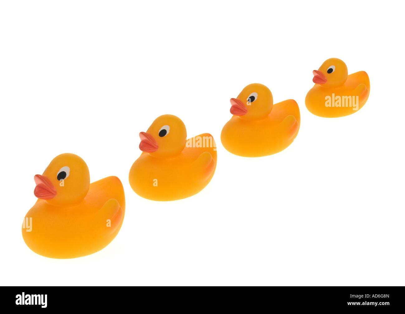 Putting your ducks in a line Stock Photo - Alamy