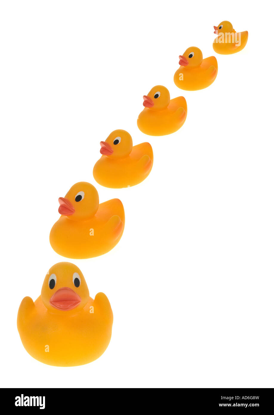 Putting your ducks in a line Stock Photo - Alamy