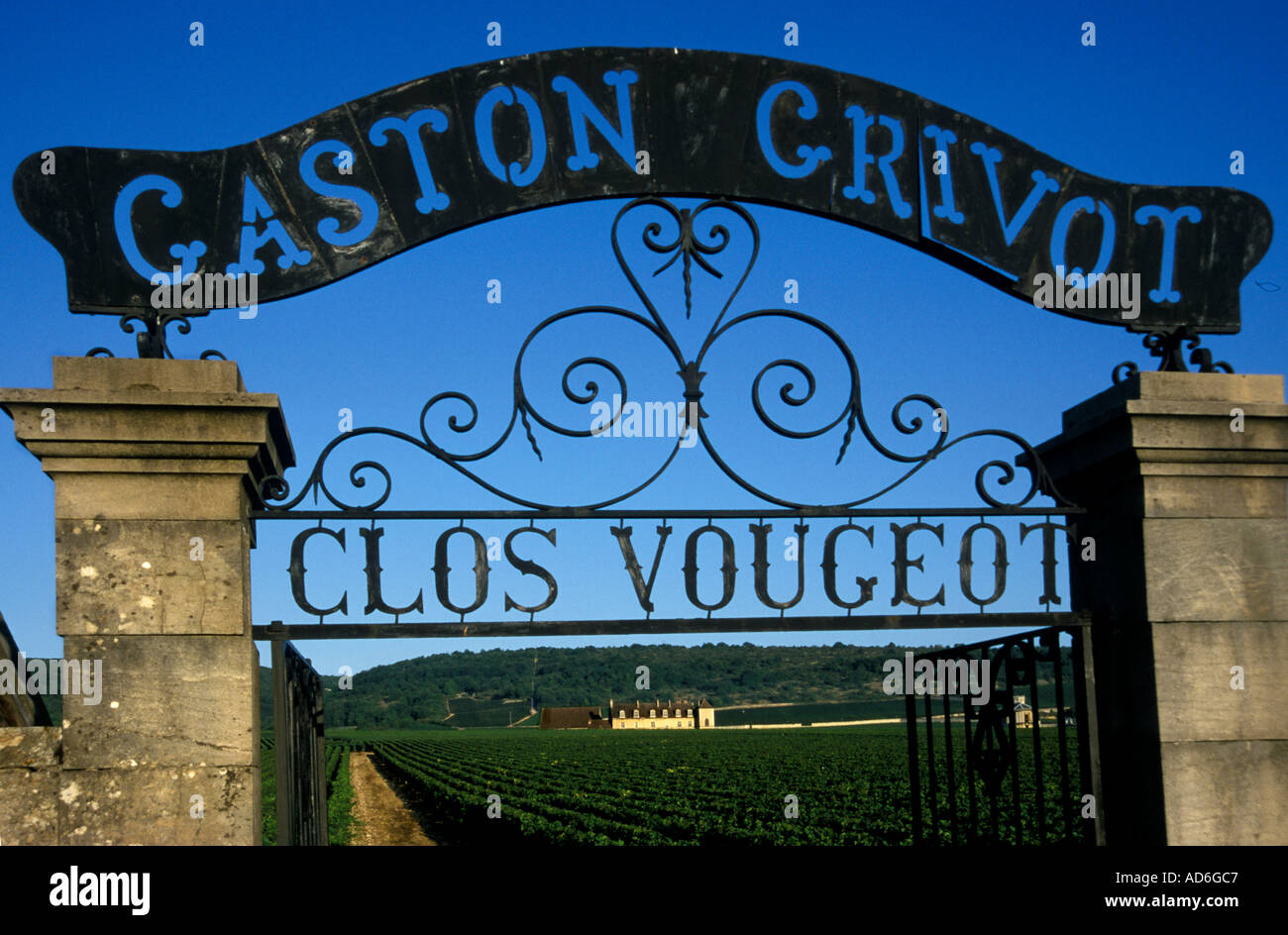The route des grands crus wine route wine villages of hi-res stock ...