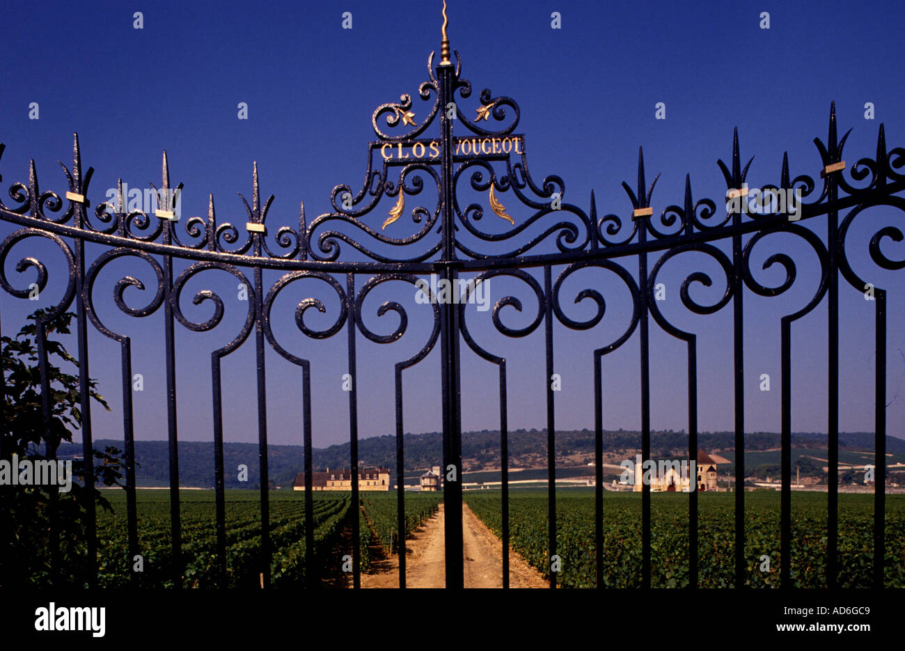 France wine French Castle Bourgogne Clos Vougeot Cote de Nuits Nuits st ...