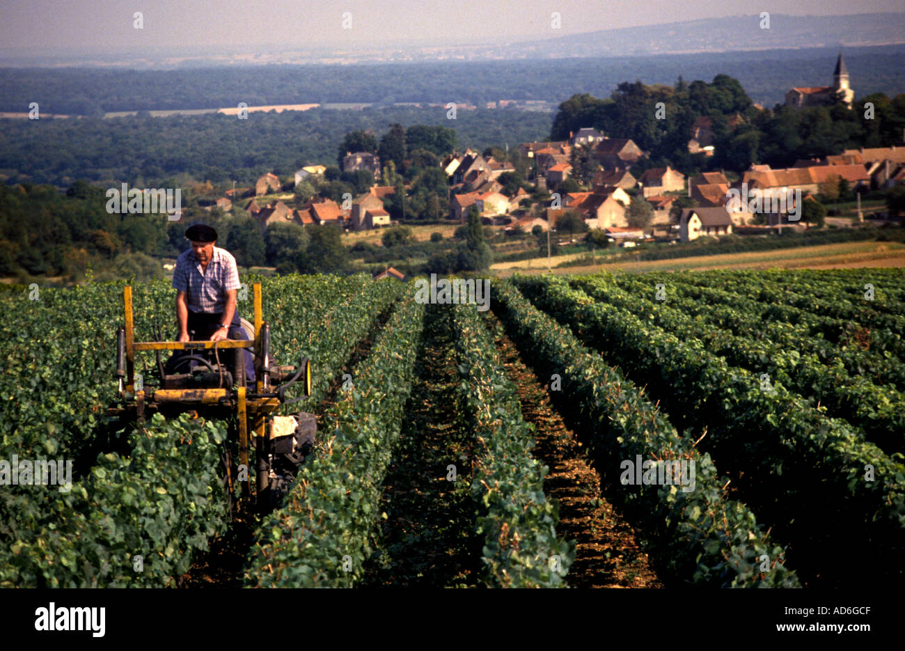 Wine barrels burgundy france hi-res stock photography and images - Alamy