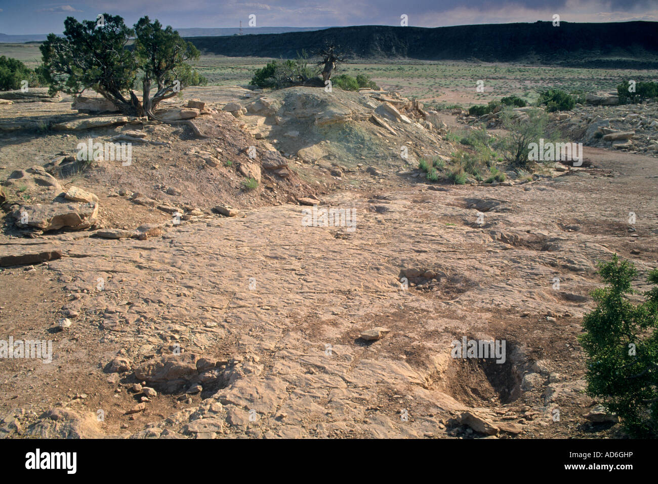 Fossilized Dinosaur tracks Brontosaurus shown crossing an ancient ...