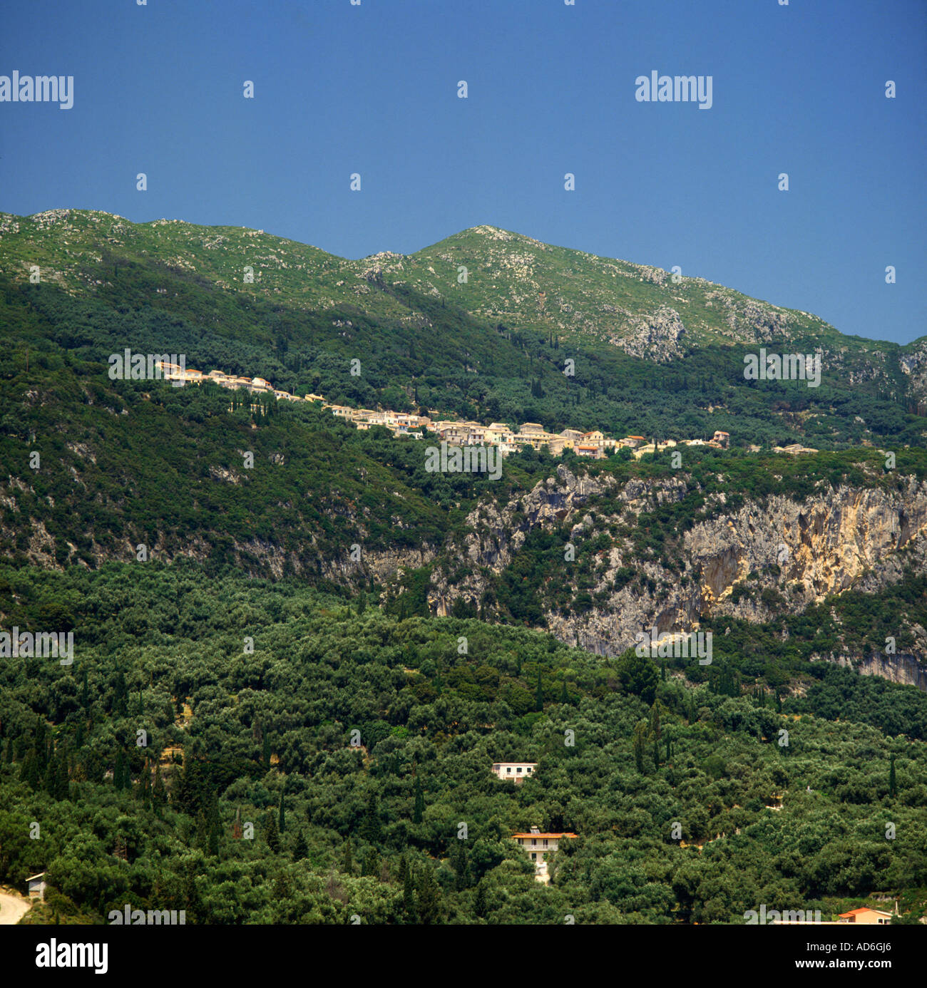 Small village of Lakones perched high on cliffs in pine forest ...