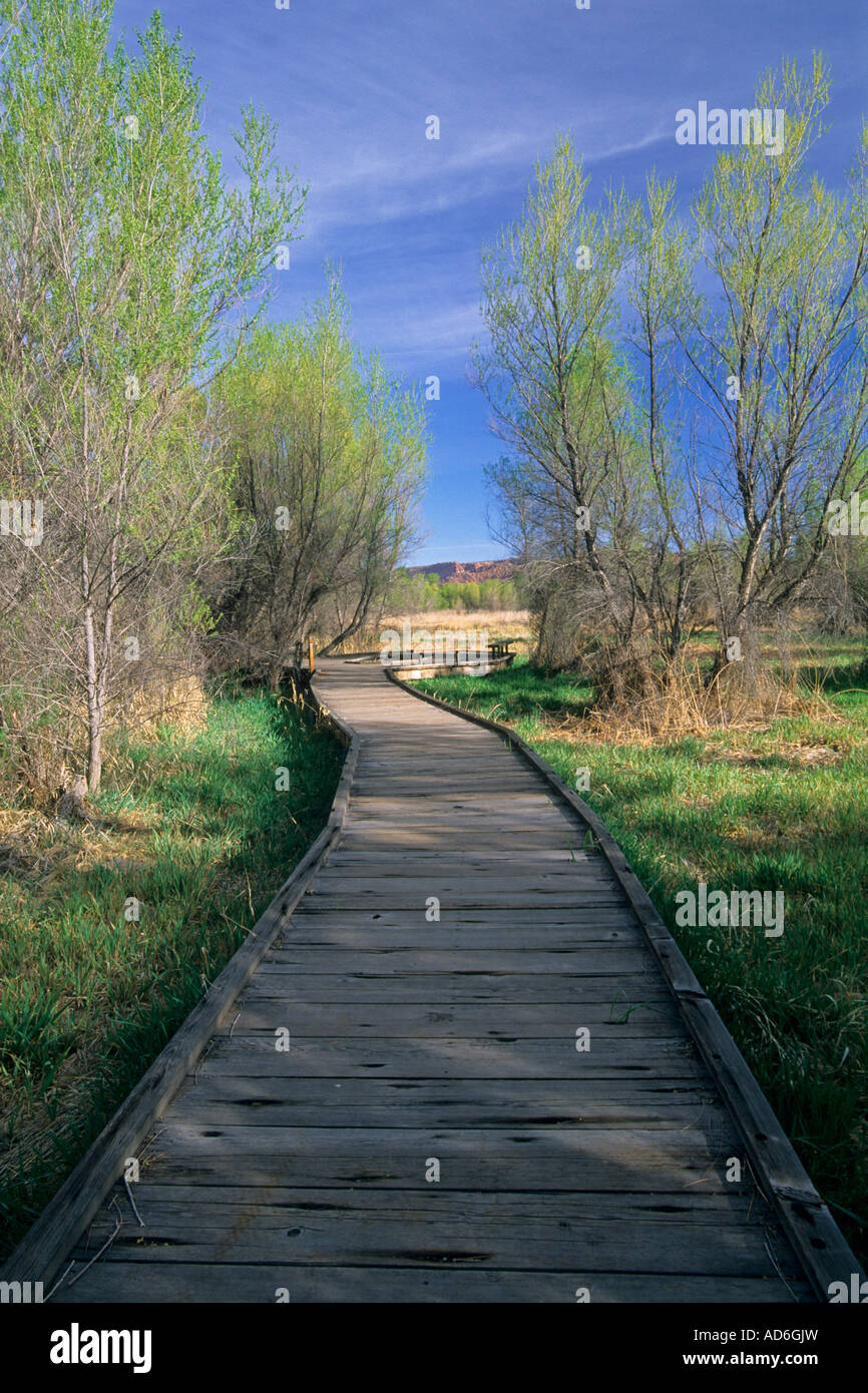 Scott crabbe hi-res stock photography and images - Alamy