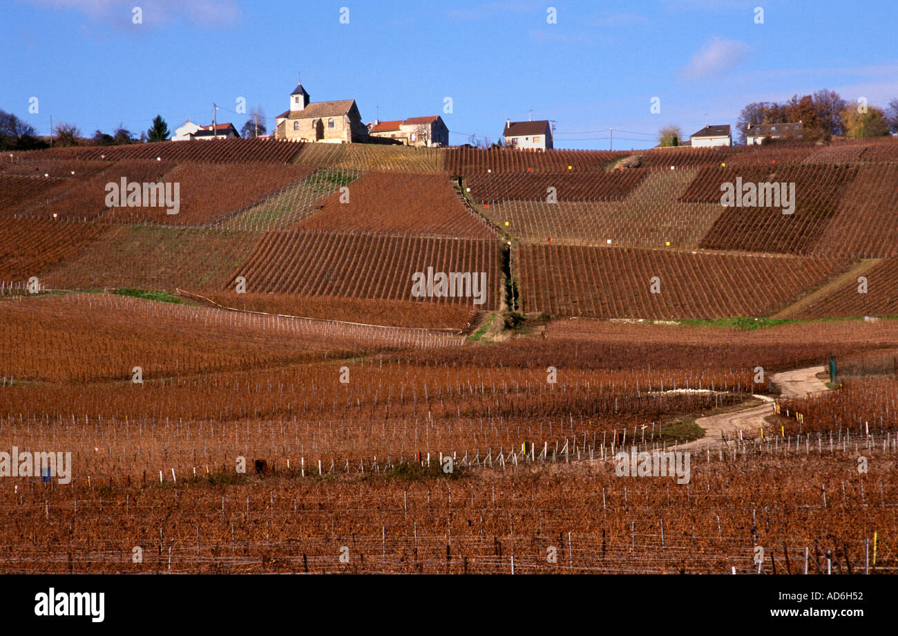 Vintage champagne hi-res stock photography and images - Alamy