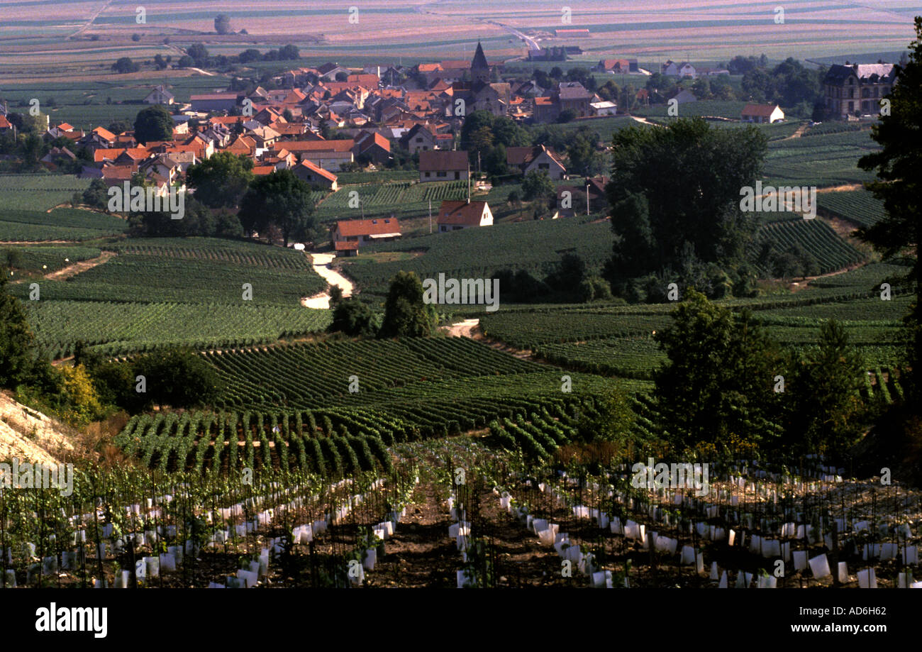 Rheims landscape hi-res stock photography and images - Alamy