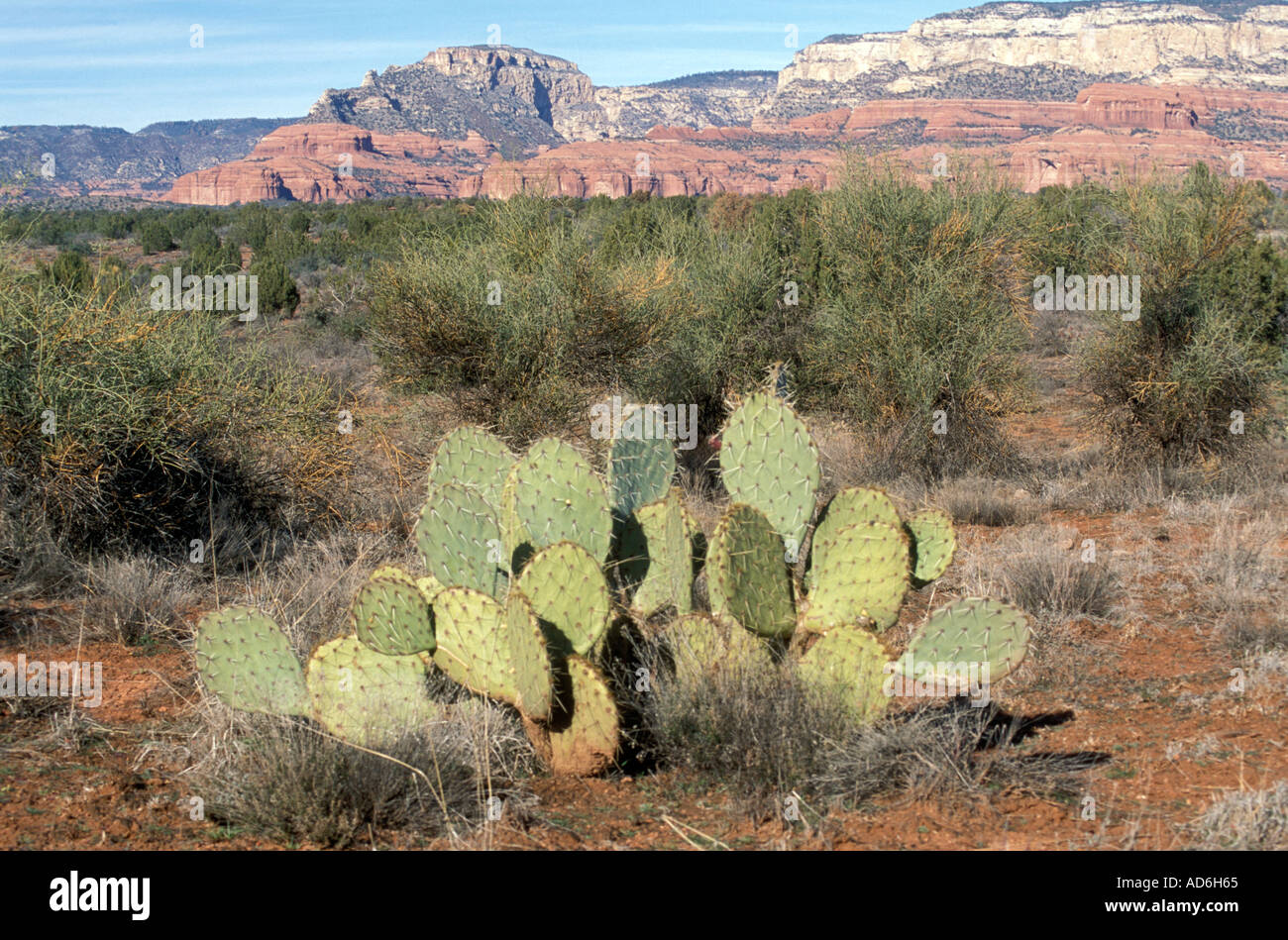 Red Rock Secret Mountain Wilderness, Coconino National Forest, Sedona ...