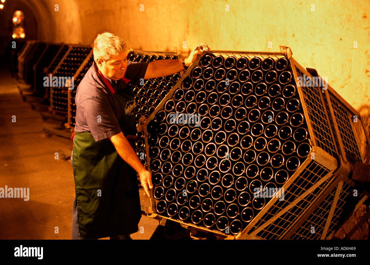 Cellar master hi-res stock photography and images - Alamy