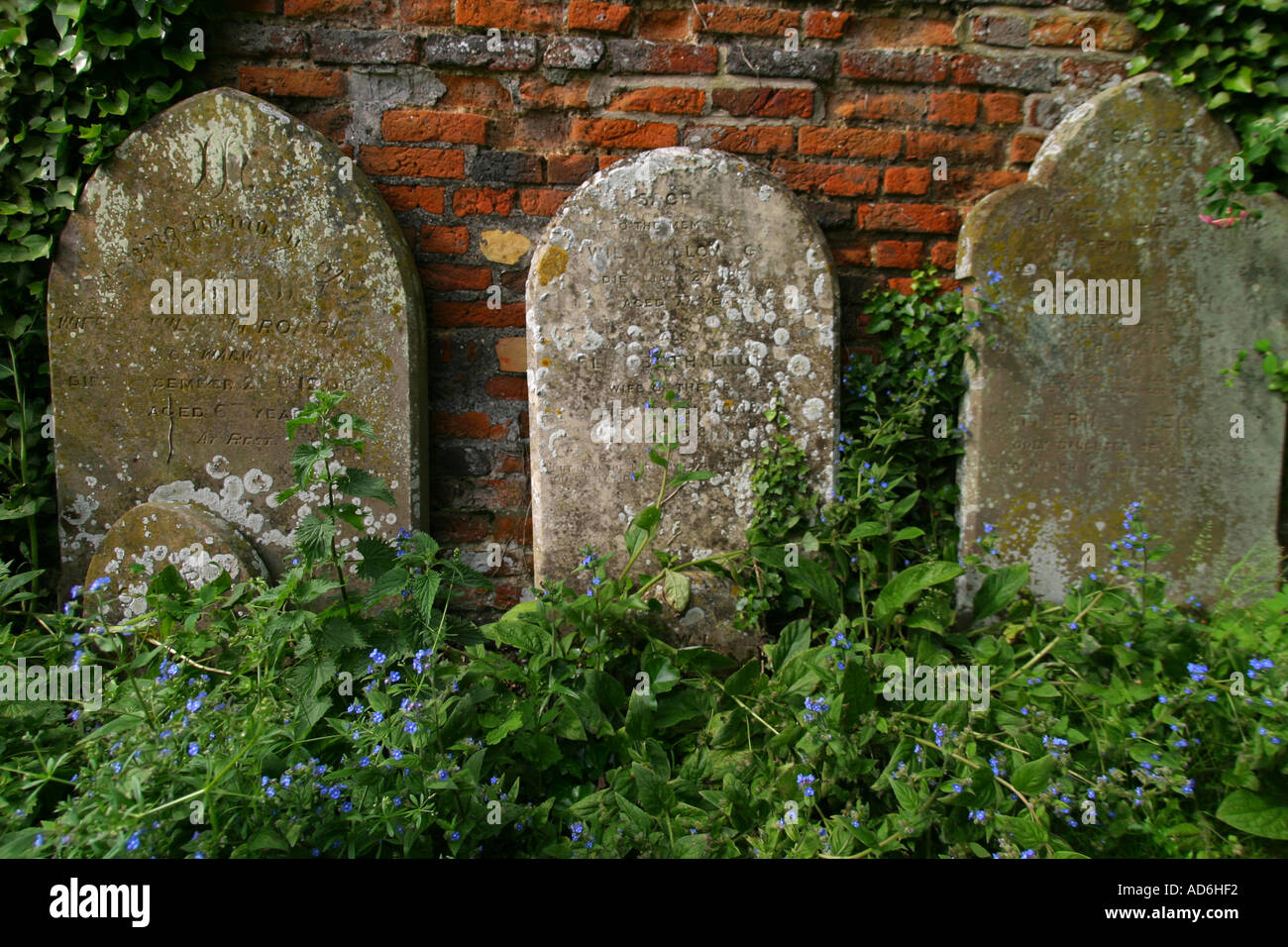 3 ancient gravestones Stock Photo - Alamy