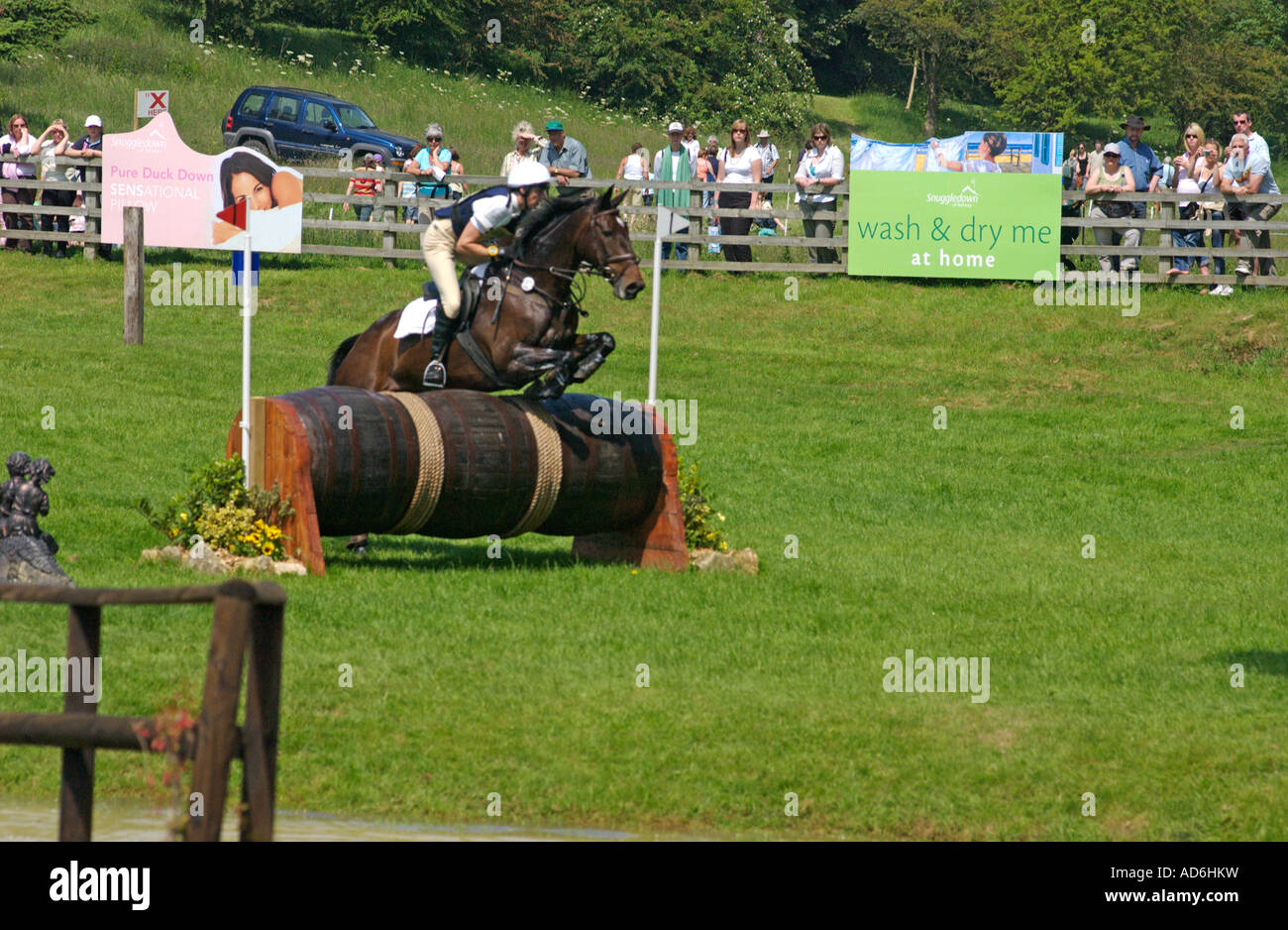 Sarah Wales on Twist N Run Bramham International Horse Trials 09 06 ...
