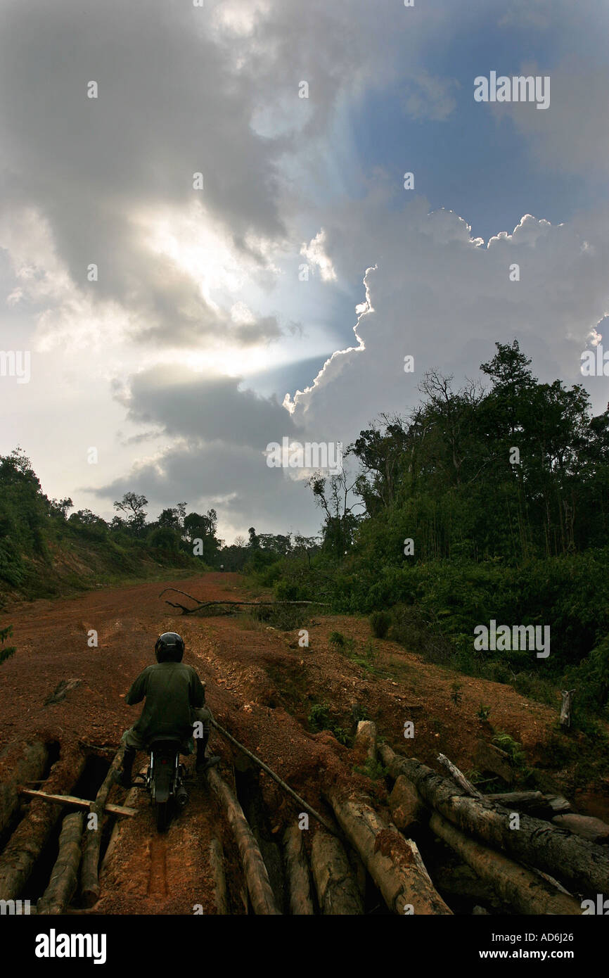 Logging in cambodia hi-res stock photography and images - Alamy