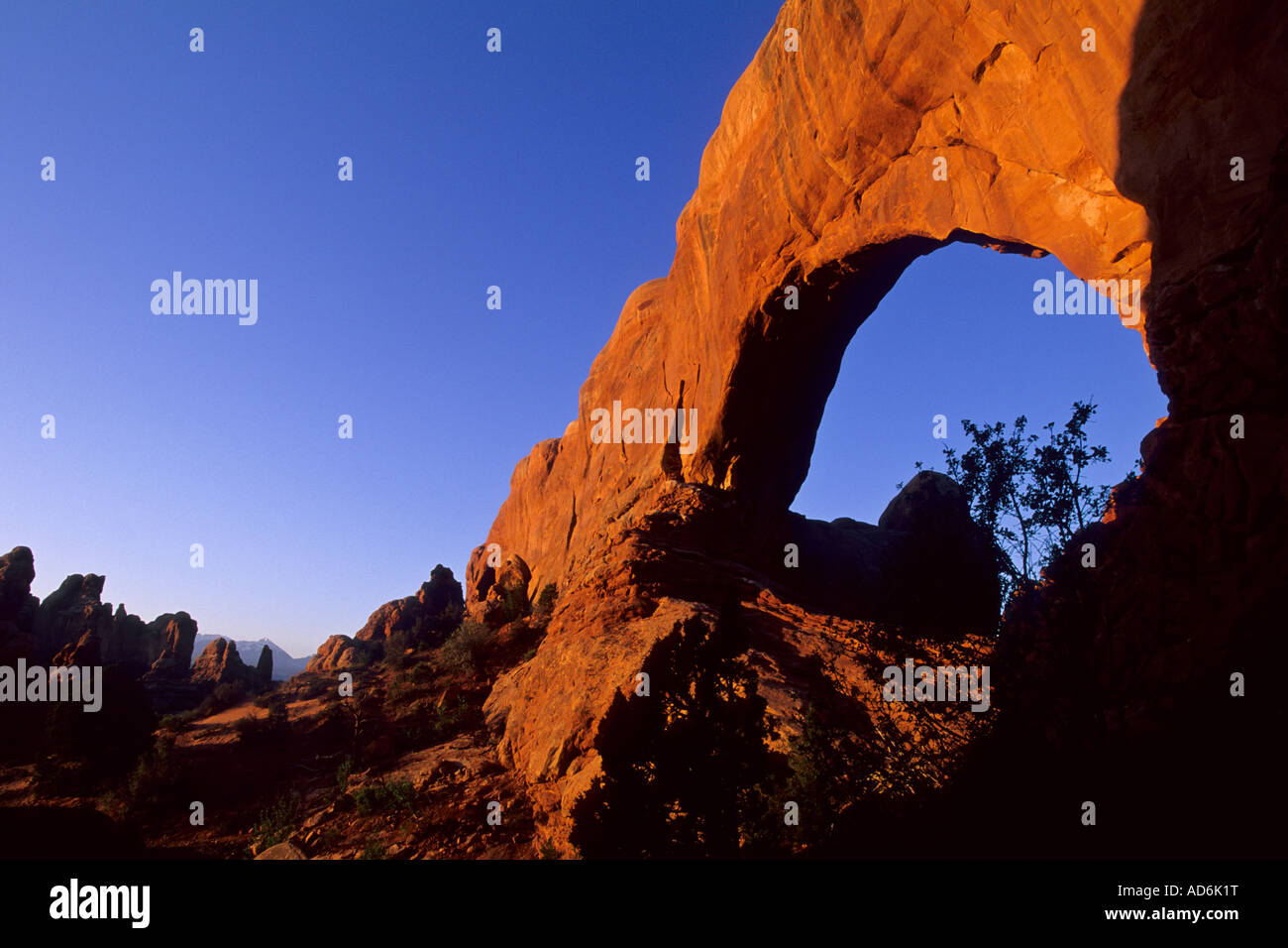 Sunrise light on North Window Windows Section Arches National Park UTAH ...