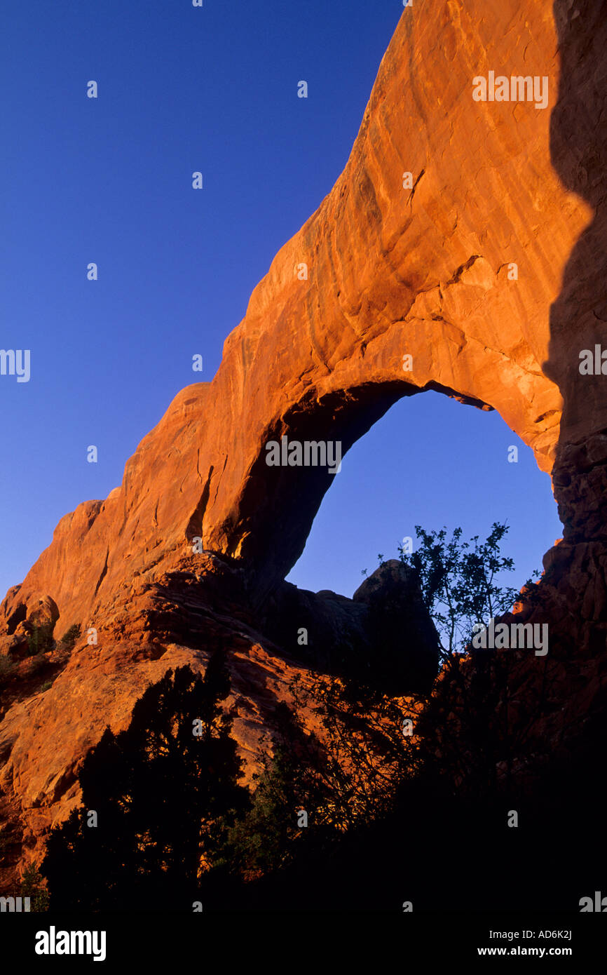 Sunrise light on North Window Windows Section Arches National Park UTAH ...
