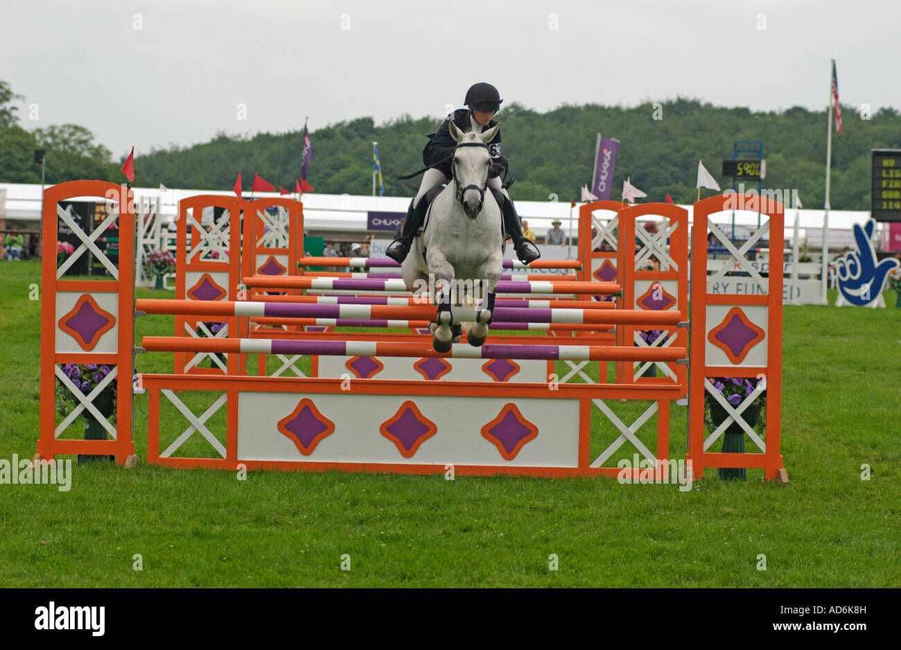Lisa Maynard on First Frost Bramham International Horse Trials 10 06 ...