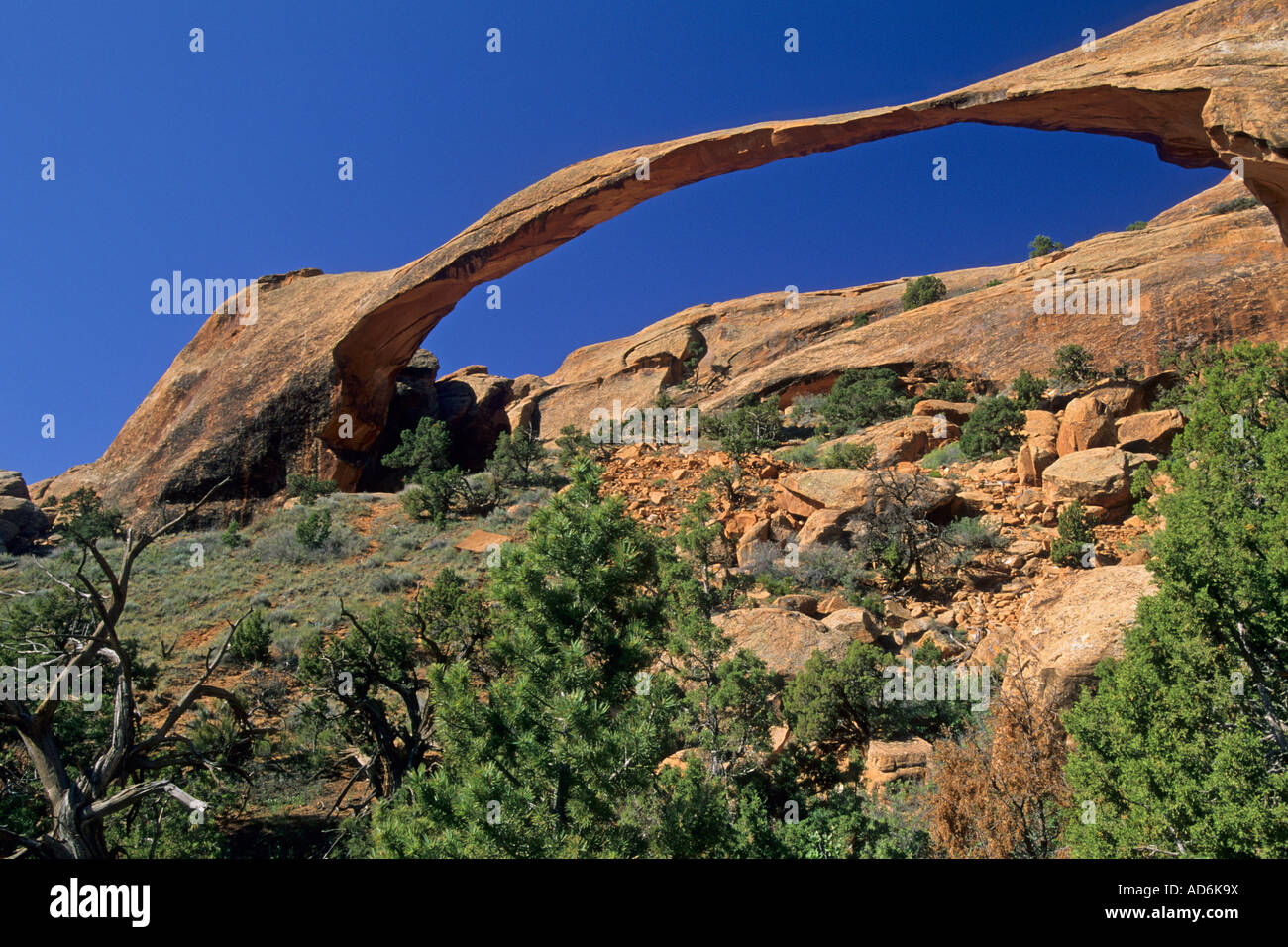 Landscape Arch Devils Garden Trail Arches National Park UTAH Stock ...