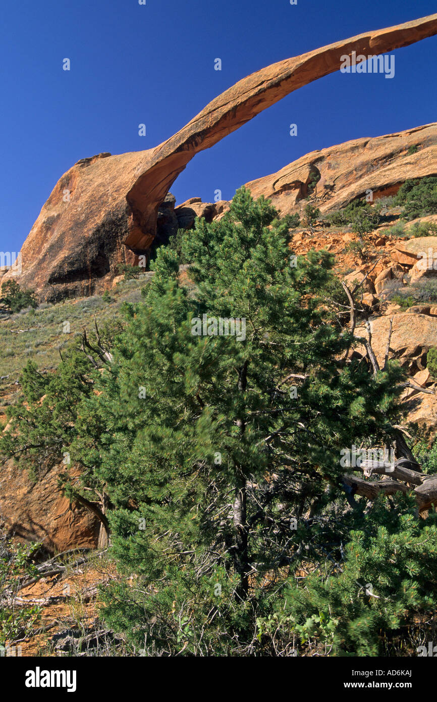 Landscape Arch Devils Garden Trail Arches National Park UTAH Stock ...