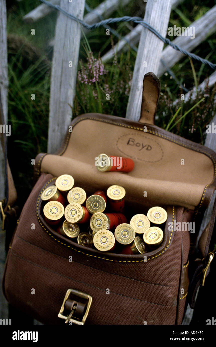 Scottish Country Estate Grouse High Resolution Stock Photography and ...