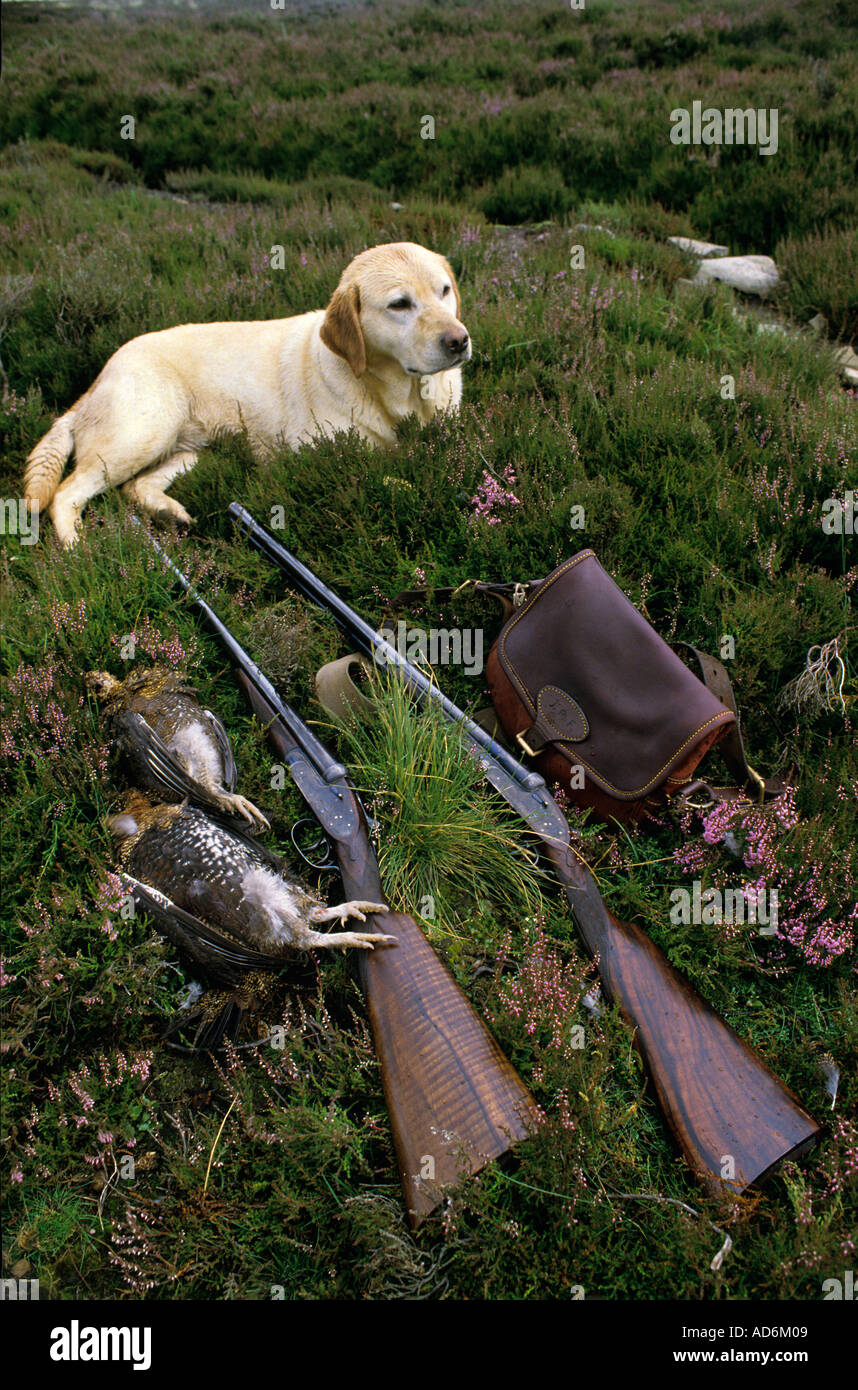 Kelso Scotland Countryside High Resolution Stock Photography and Images ...