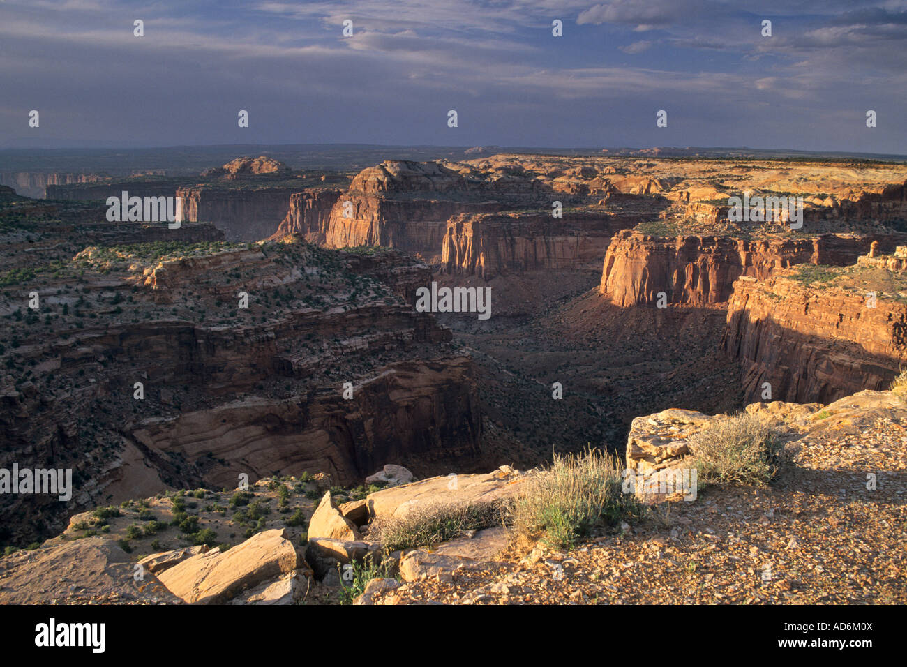 Looking over Trail Canyon from atop Aztec Butte Island in the Sky ...