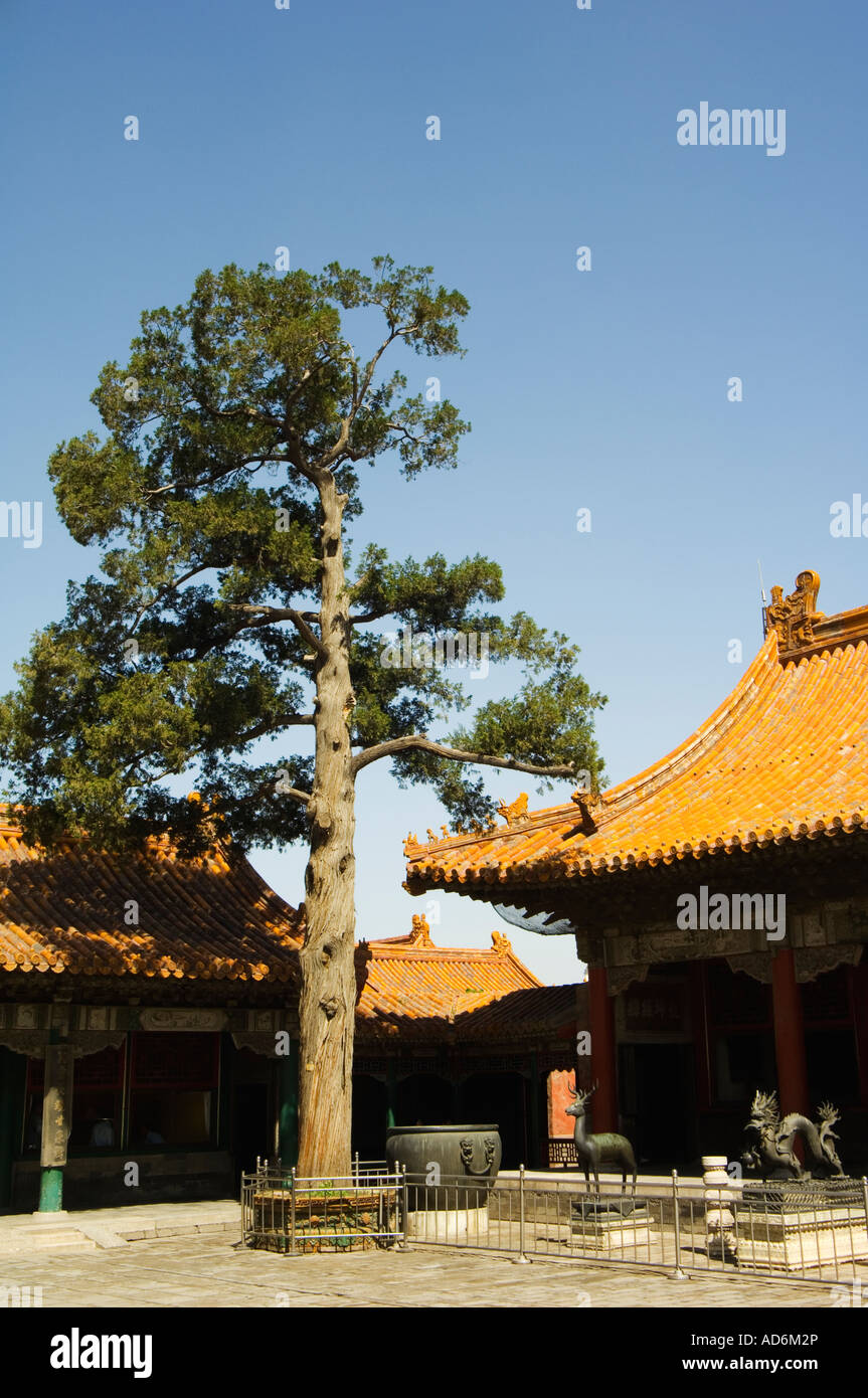 Zijin Cheng The Forbidden City Palace Museum Unesco World Heritage Site ...