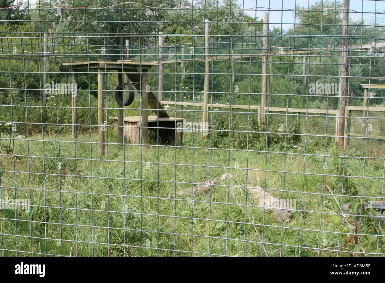 Empty cage in Zoo in England UK 2005 Stock Photo - Alamy