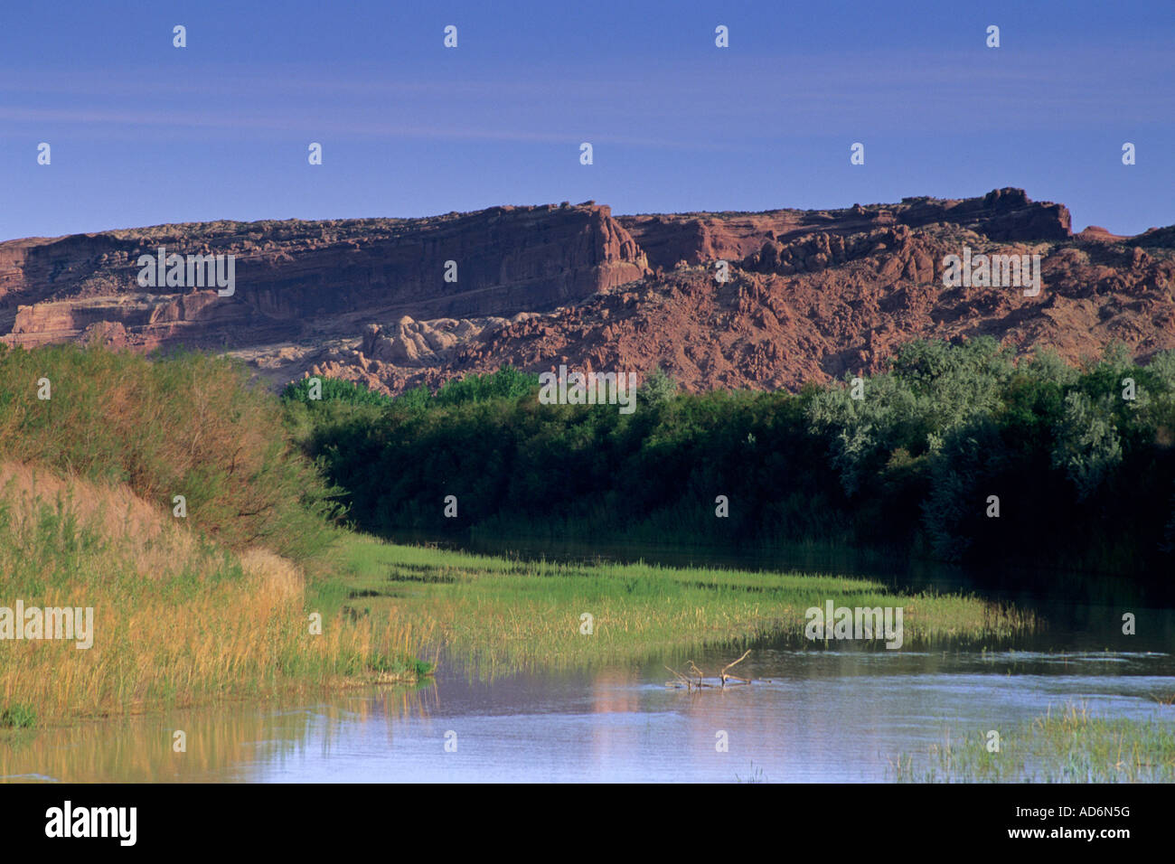 Colorado River Scott M Matheson Wetlands Preserve near Moab UTAH Stock ...