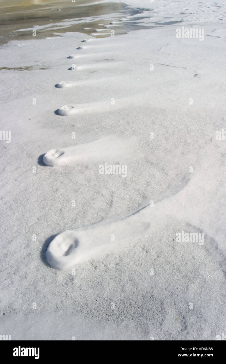 Forzen hi-res stock photography and images - Alamy