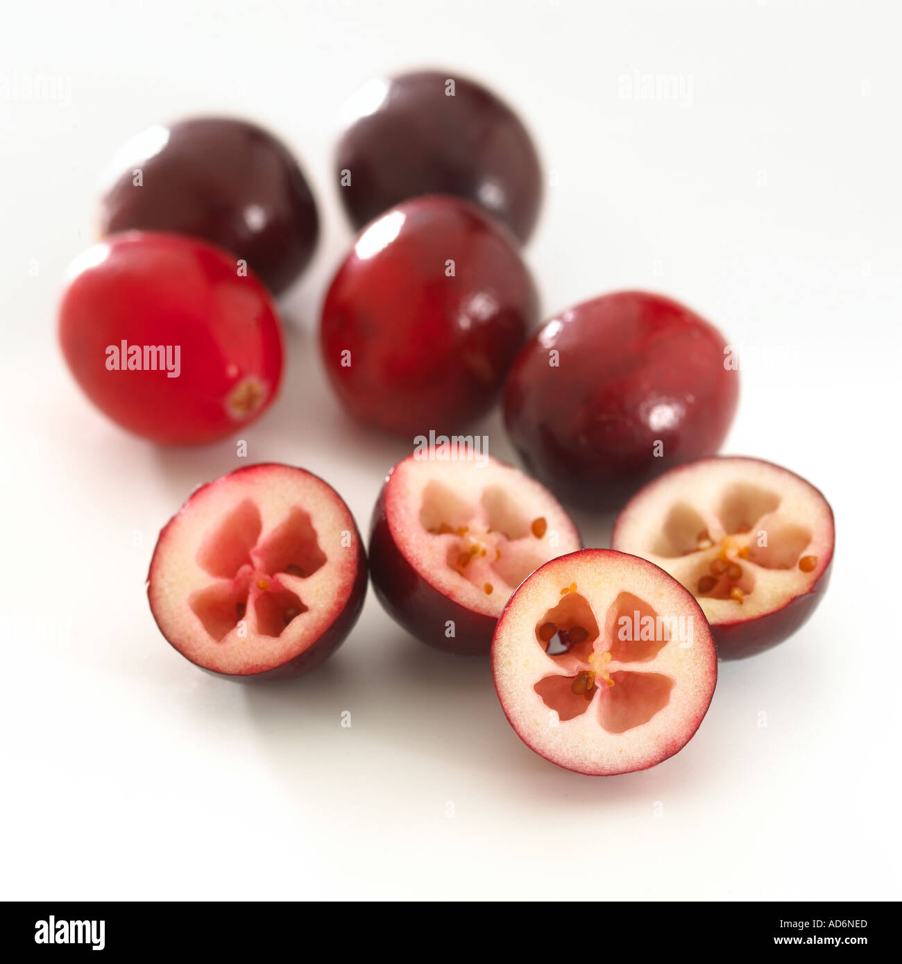 Still life of Cranberries whole cut in half Keywords fruit cut out ...