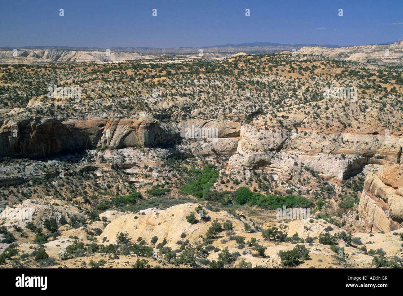 Slickrock Canyons at Calf Creek Grand Staircase Escalante Nat l Mon SR ...