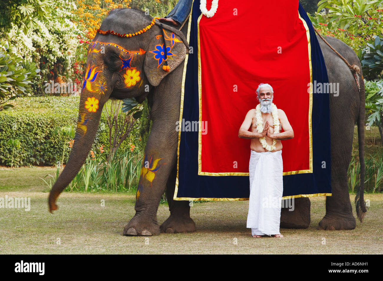 Priest standing in a prayer position beside an elephant Stock Photo - Alamy