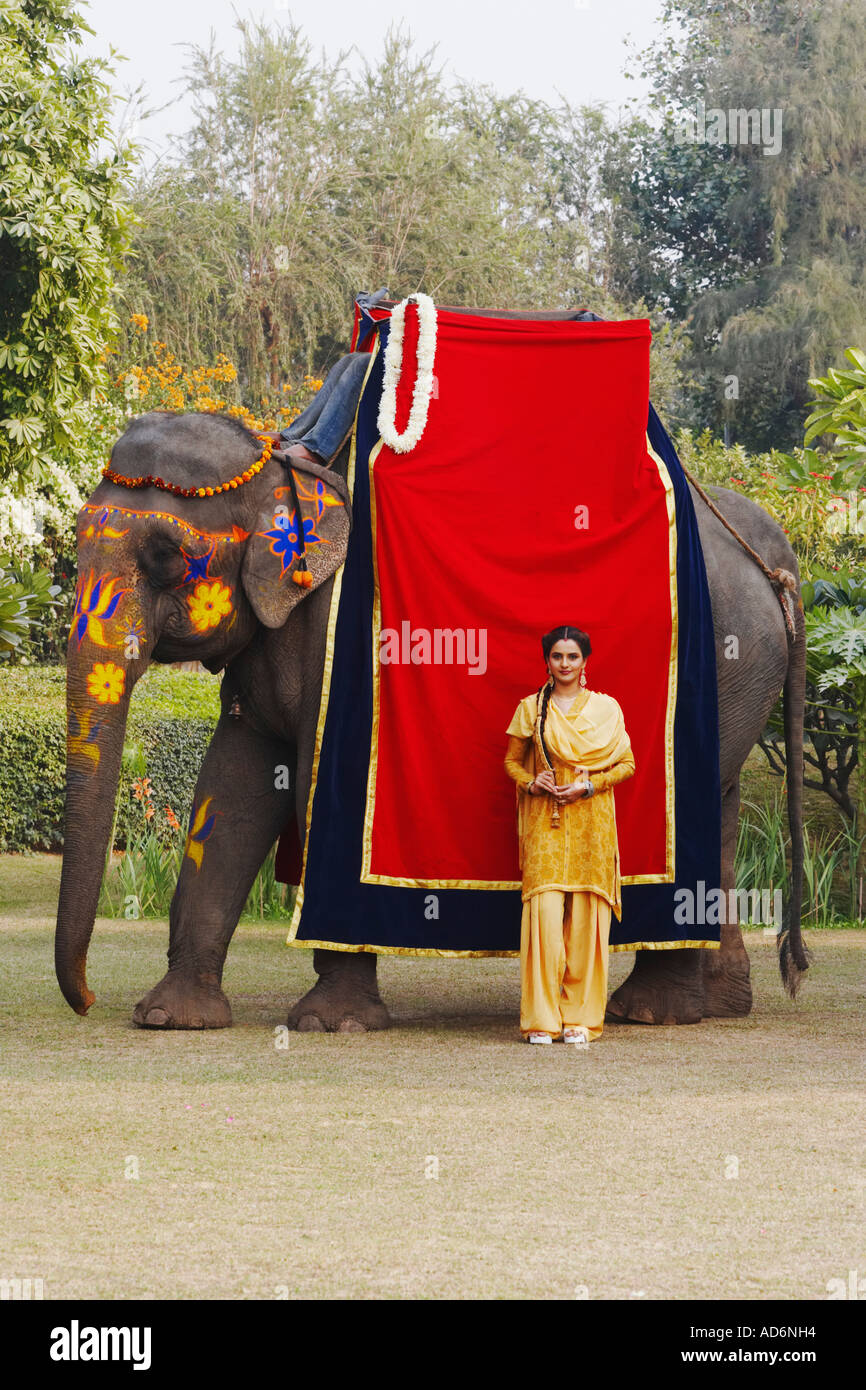 Section view of elephant hi-res stock photography and images - Alamy