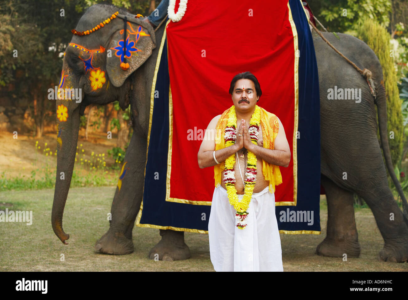 Priest standing in a prayer position beside an elephant Stock Photo - Alamy