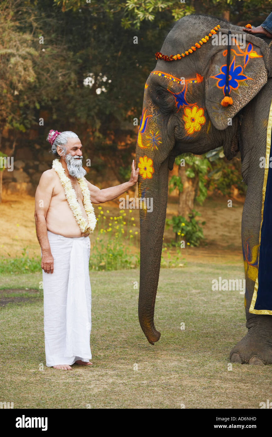 Priest touching the trunk of an elephant Stock Photo - Alamy