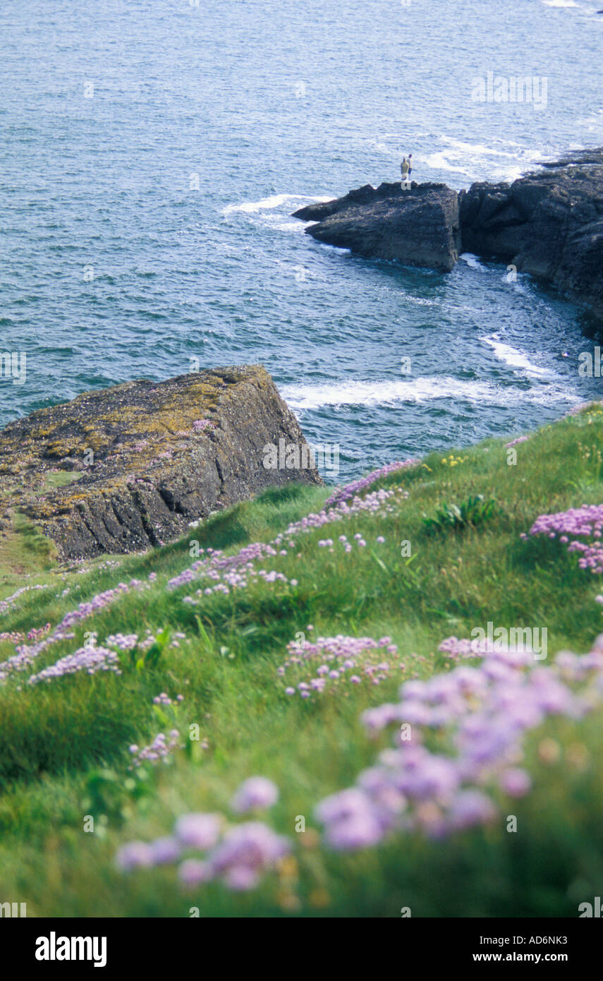 Dunmore east cliff hi-res stock photography and images - Alamy