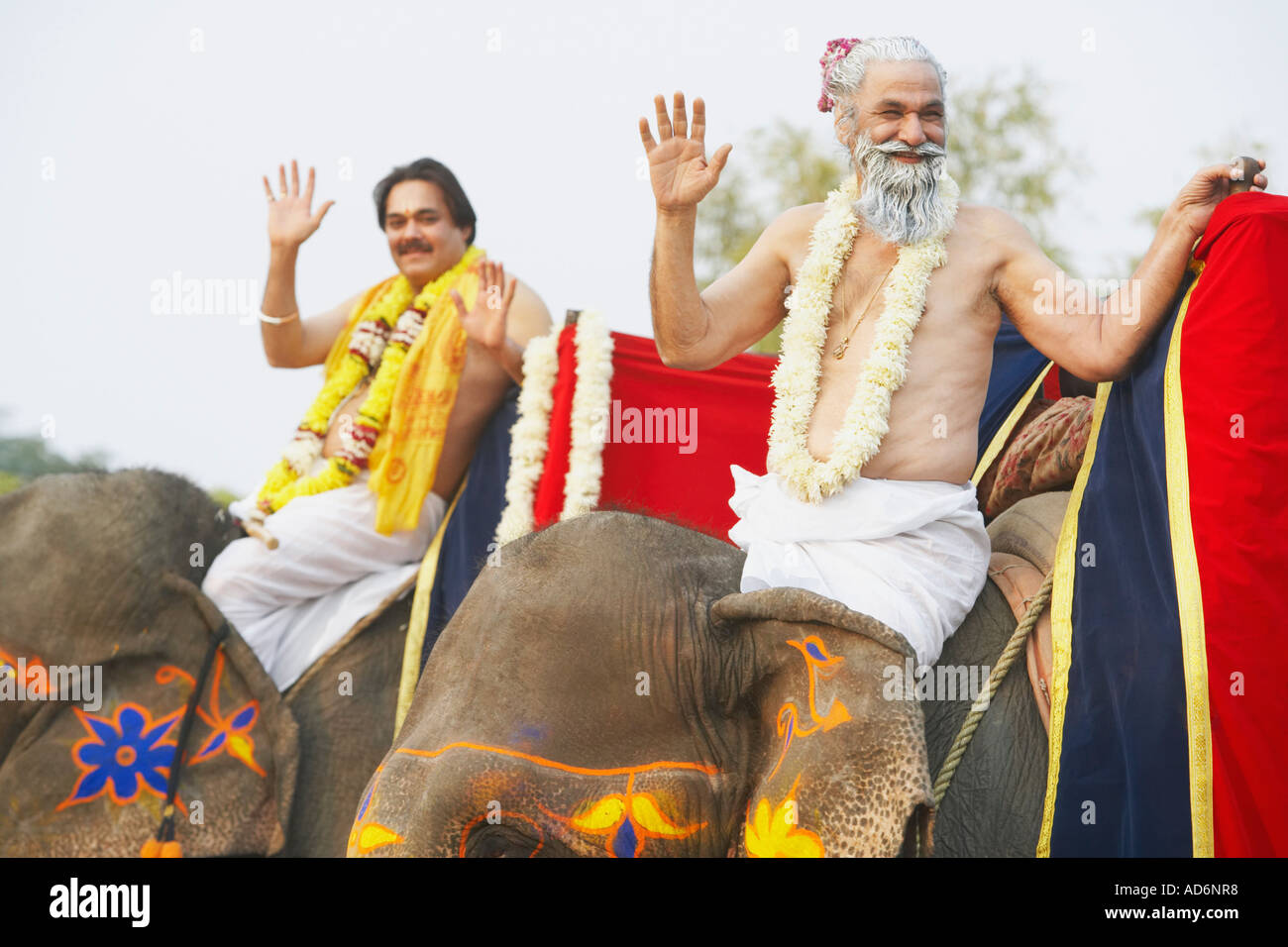 Portrait of two priests riding elephants Stock Photo - Alamy