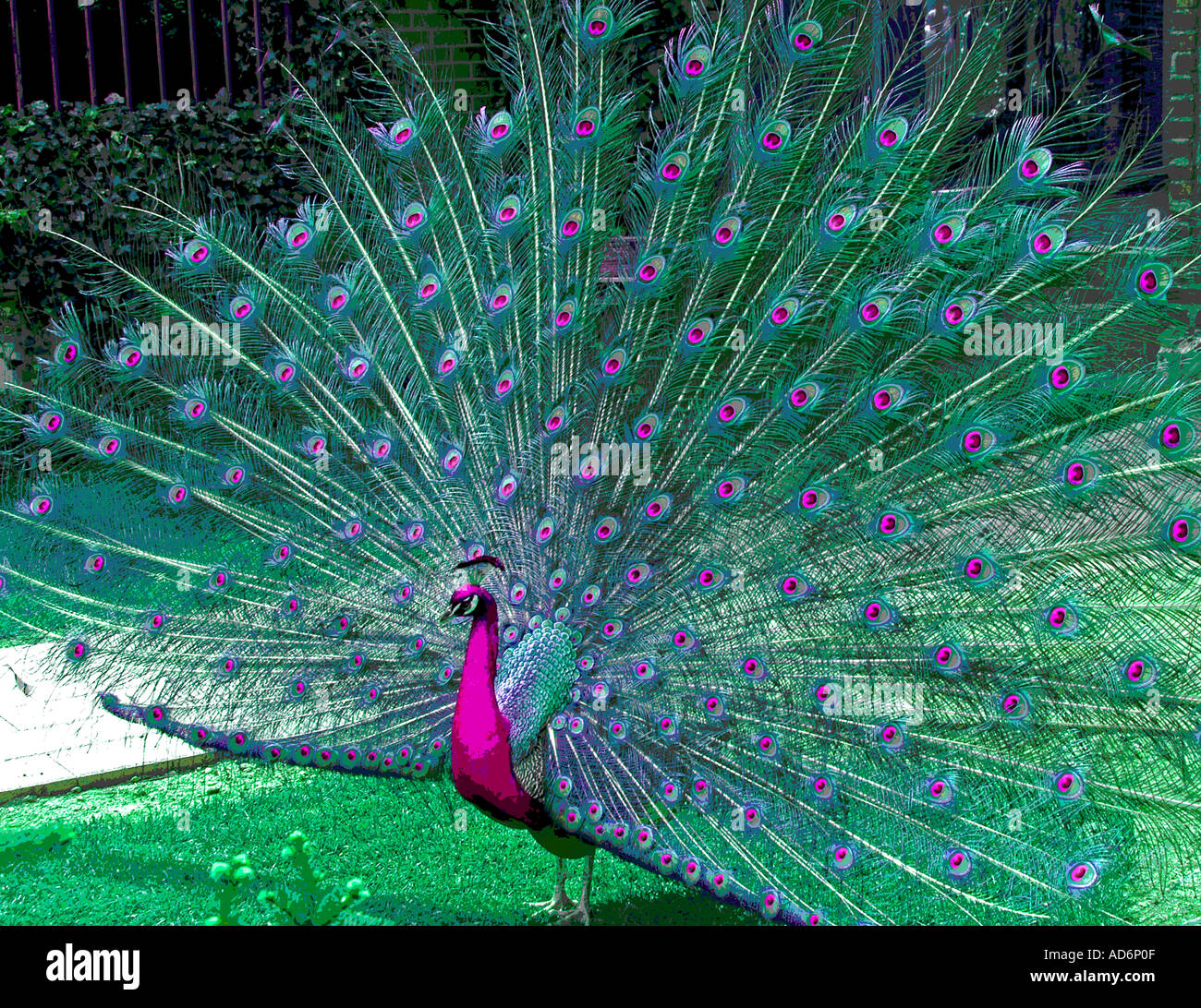 Grounds for sculpture new jersey hi-res stock photography and images ...