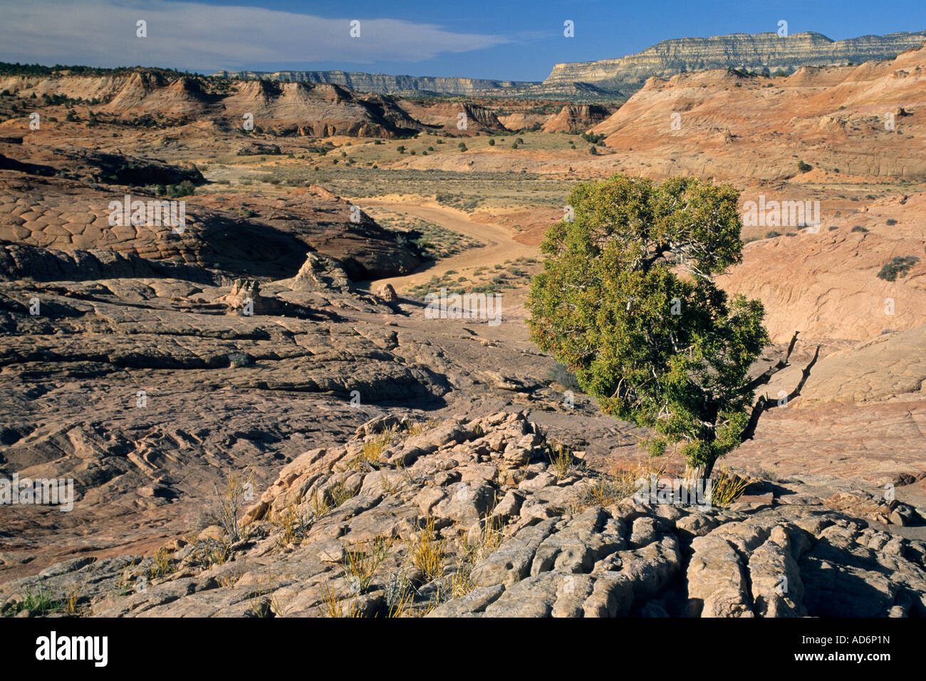 Harris Wash area Hole In The Rock Road region Grand Staircase Escalante ...